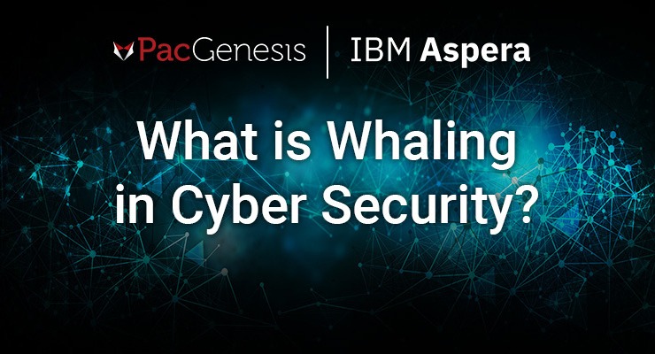 The PacGenesis Blog: Digital File Movement and Security Tips